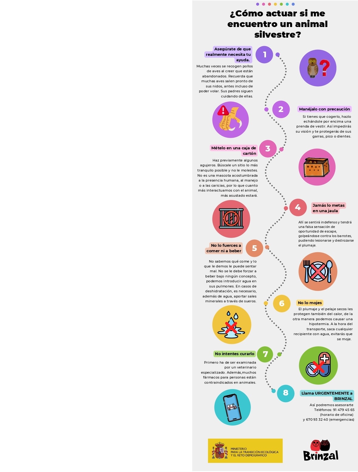 Cómo actuar - Brinzal